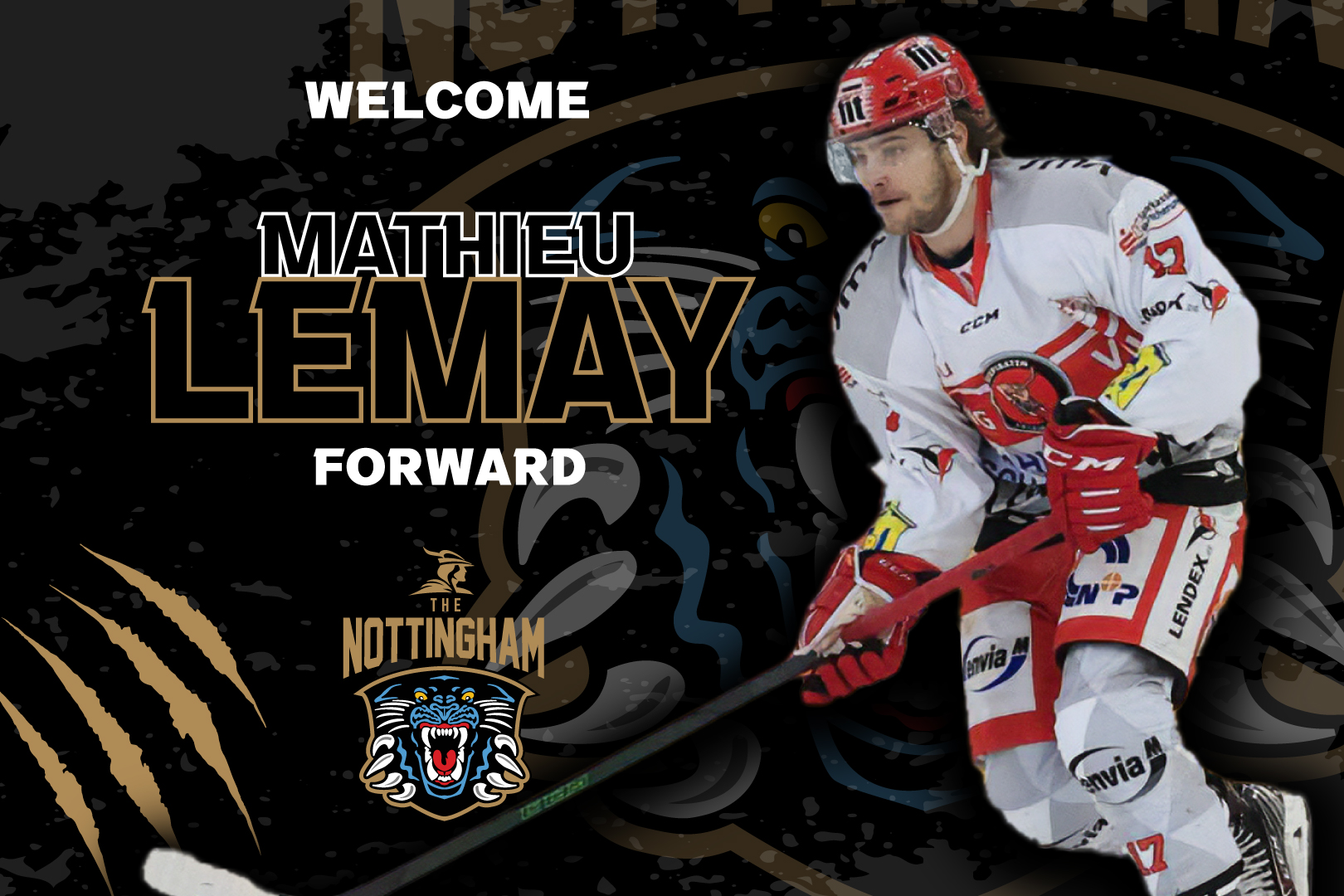 PANTHERS SIGN CANADIAN FORWARD LEMAY - Nottingham Panthers